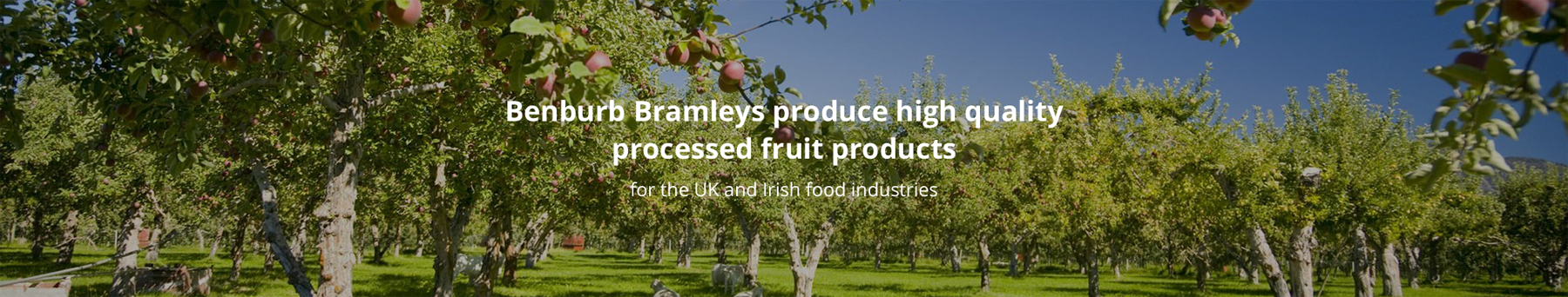 Victus Energy Trading’s Solara PV Division Secures Planning Approval ...